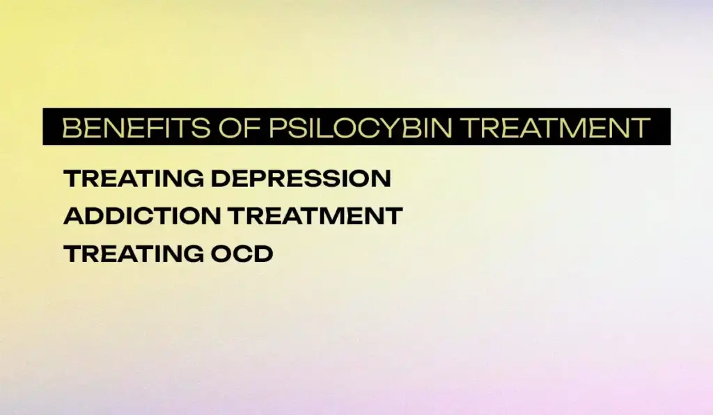 What Is Psilocybin Therapy? 🍄 Effects, Benefits, Risks Explained