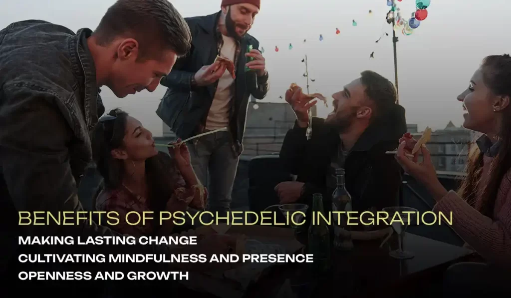 Understanding Psychedelic Integration 🍄 A Detailed Guide
