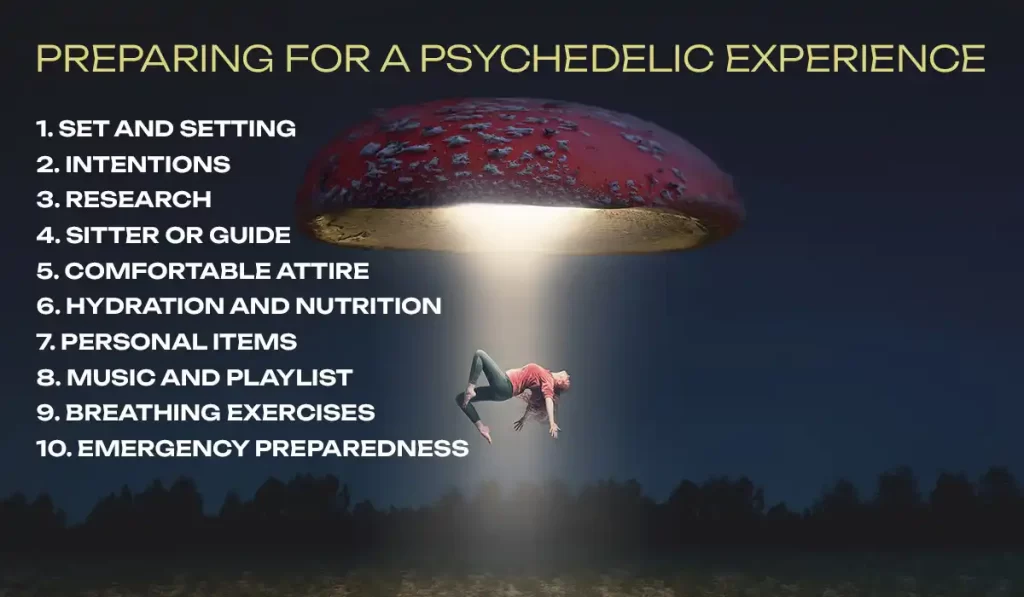 Understanding Psychedelic Integration 🍄 A Detailed Guide