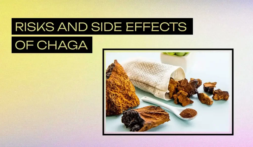 Chaga Mushrroms 🍄 What Does It Do to Your Body and Mind?